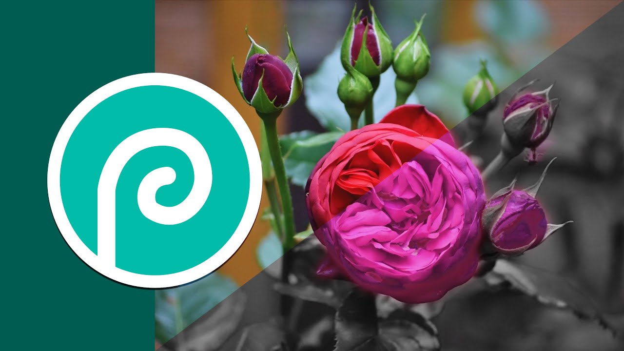 How do I select a specific color in Photopea (Free Photoshop)? - Video ...