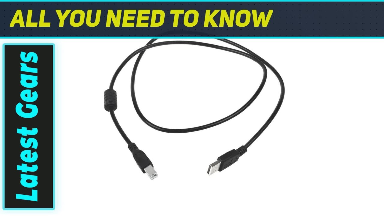 Best Dysead 3ft USB Cable for Epson Perfection Scanners: Ultimate ...