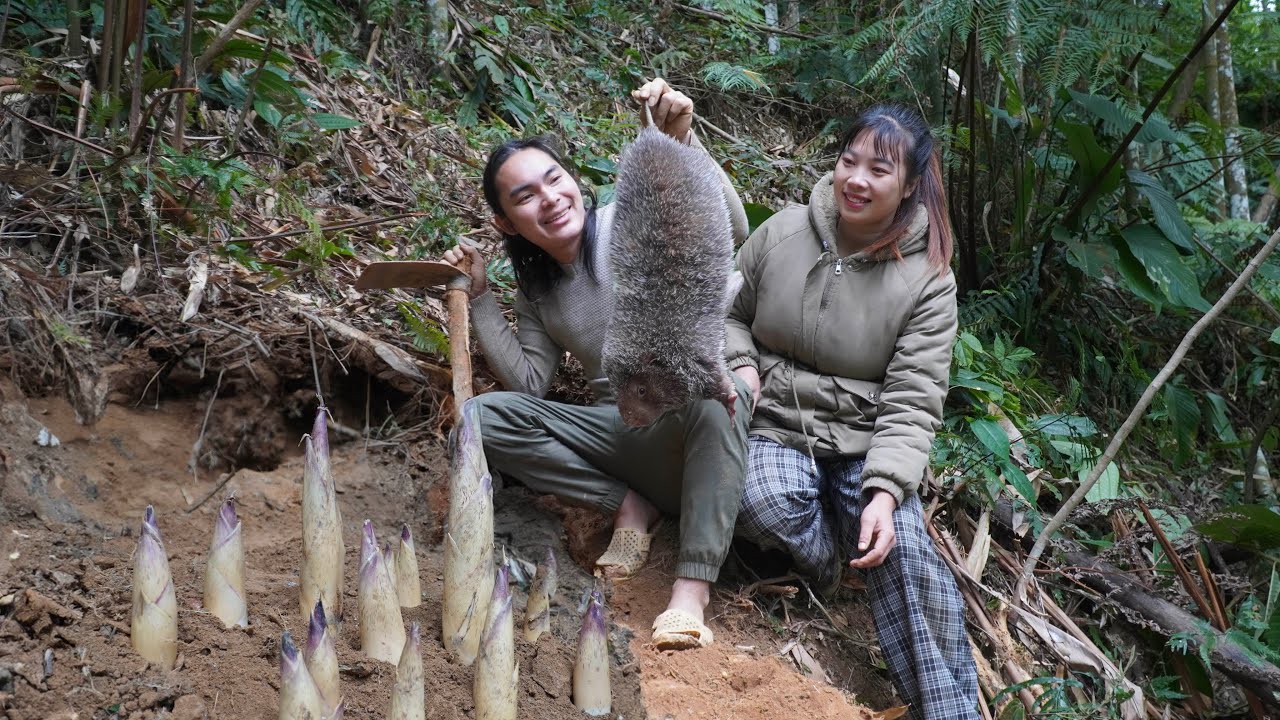 digging bamboo rats, harvesting green vegetables, farm life, ALONE ...