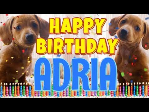 Happy Birthday Adria! ( Funny Talking Dogs ) What Is Free On My ...