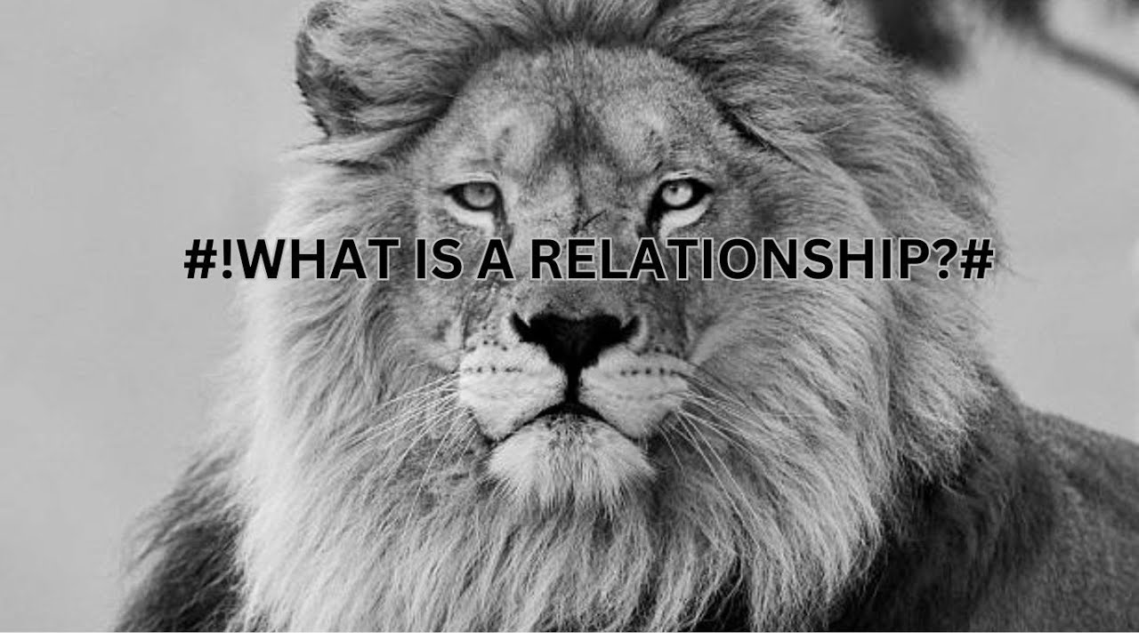 WHAT IS A RELATIONSHIP? Motivation#Inspiration#Powerfulquotes - YouTube