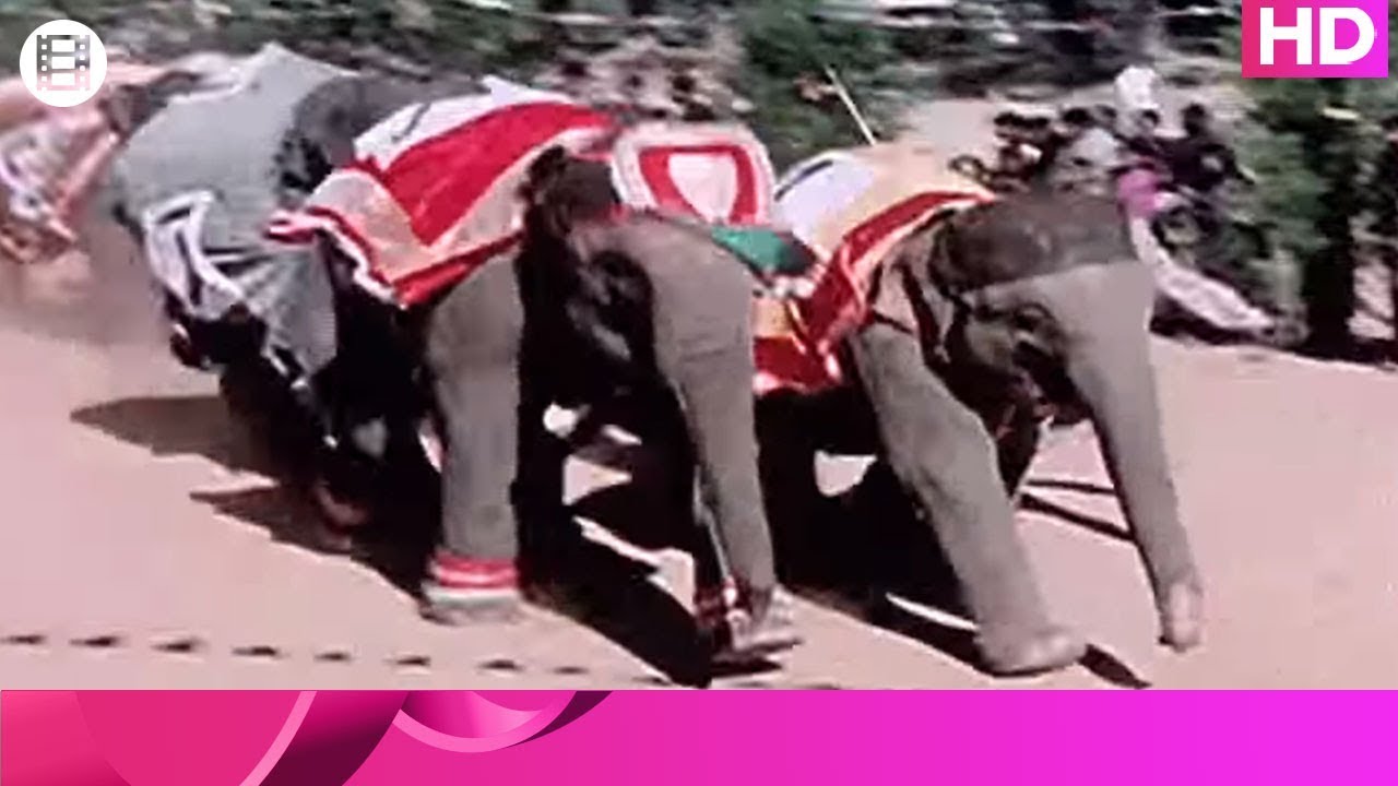 Elephant Vs Leopard !!! - YouTube