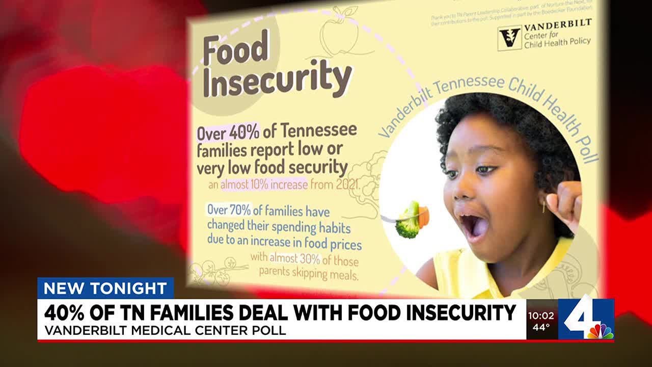 40% of Tennessee families deal with food insecurity - YouTube