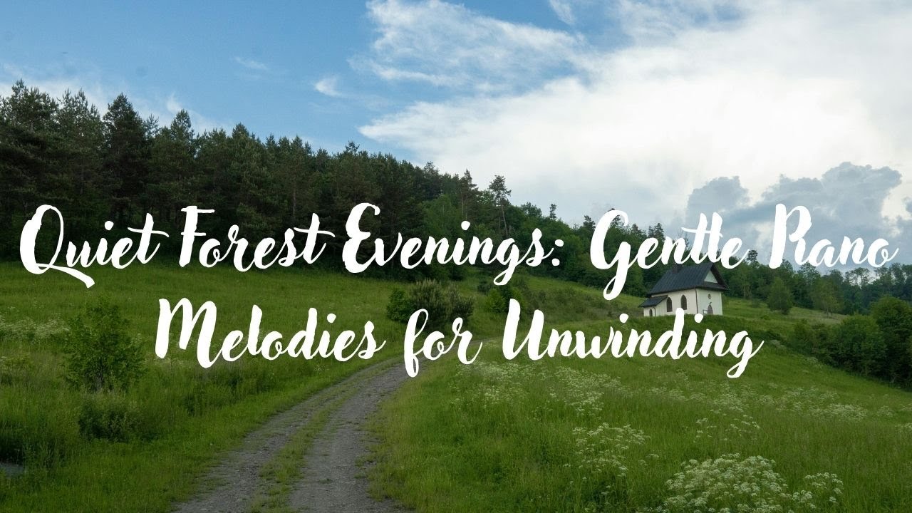 Quiet Forest | Relaxing Piano Music | Study Reading | Sleep Music | Lo-fi Music| Stress Relief ...