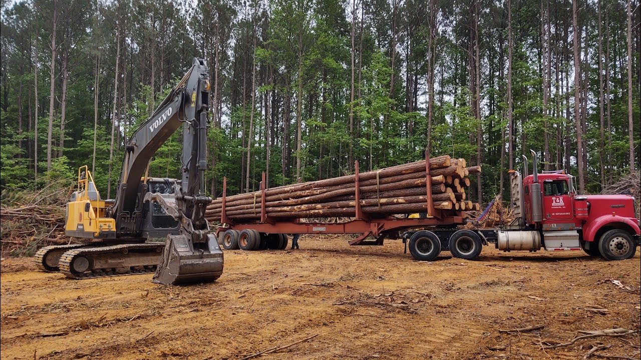 New Driveway Entrance And Loading Out Wood! - YouTube