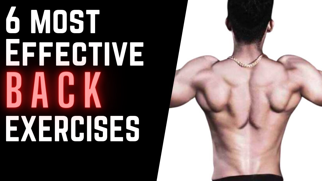 Best 6 back exercises | Back workout - Fitness majesty - YouTube