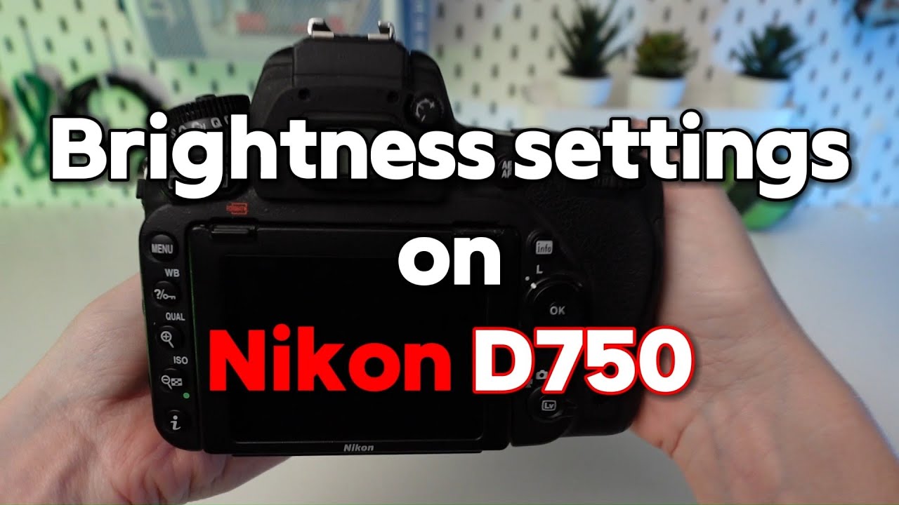 Setting Brightness Levels on Nikon D750: A Step-by-Step Tutorial - YouTube