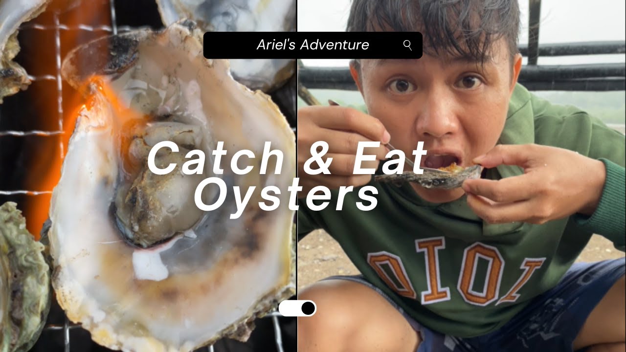 Catch and eat Oysters in the Seashore | Hunasan - YouTube