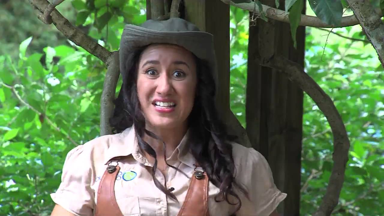 ANIMALEANDO 2DA TEMPORADA #6 - YouTube