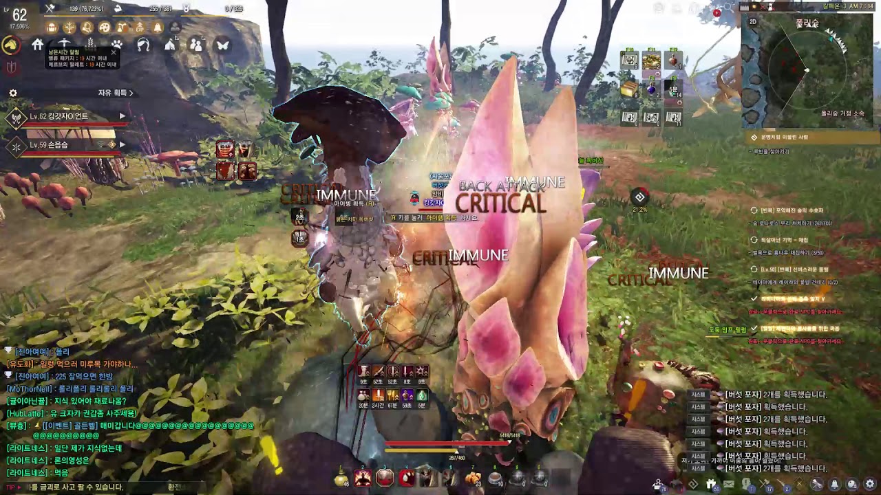 BDO) Berserker Succession Polly forest - YouTube