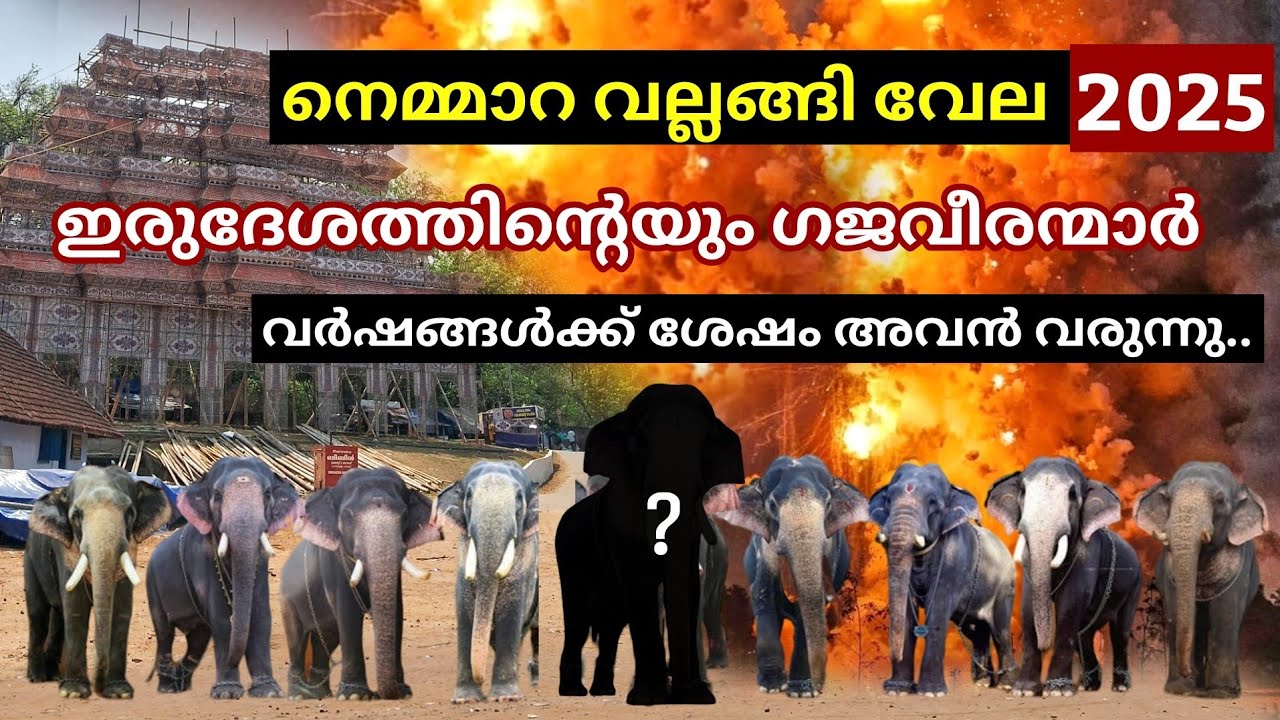 ആ രാജാവ് എത്തുന്നു..🔥Nemmara Vallangi വേലക്ക്‌ അണിനിരത്തുന്ന 21ആനക ...