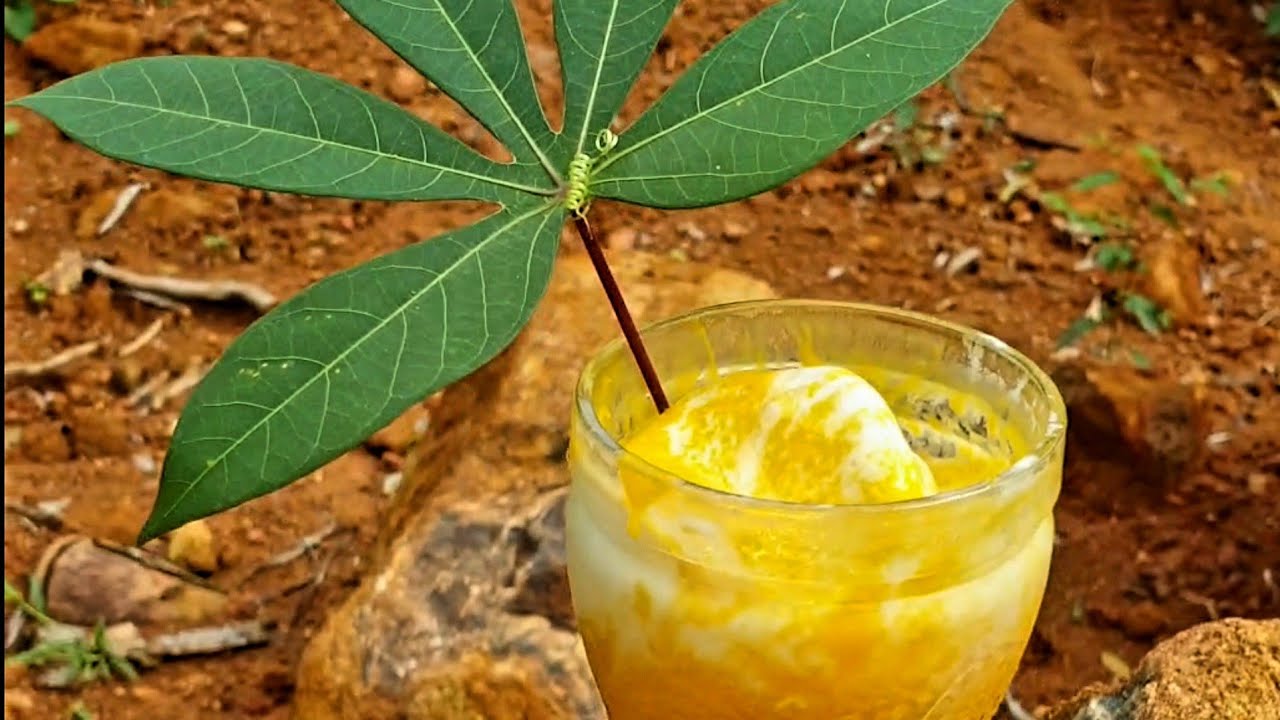 Sri Lanka,ශ්‍රී ලංකා,Ceylon,Eggfruit Ice Cream,Canistel,Cupcake ...