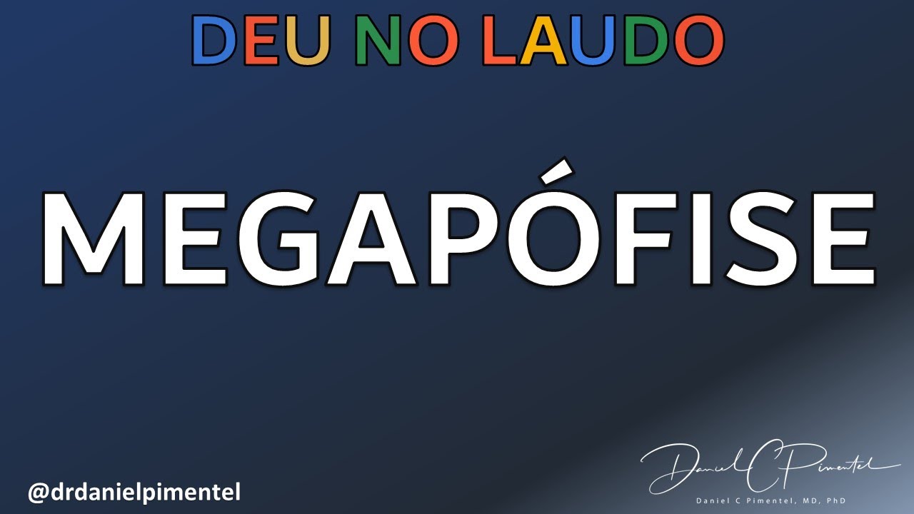 Megapófise ou megapófise transversa neoarticulada - DEU NO LAUDO do ...