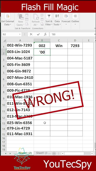 Stop Wasting Time Typing Repeated Data Master Flash Fill In Excel Excelfansonlyflashfill
