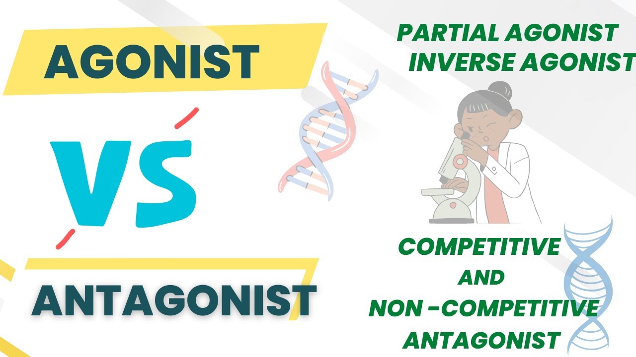 Receptors Pharmacology l Agonist l Partial Agonist,Inverse Agonist ...