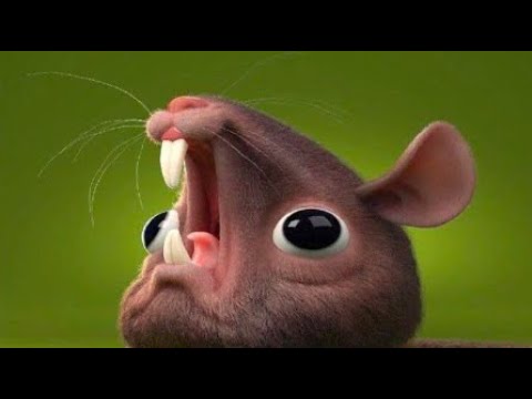 *LOST MEDIA* Rap Rat Prototype 2001 DVD Footage - YouTube