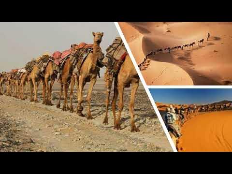 Trade across the Sahara Desert#History Grade7 - YouTube