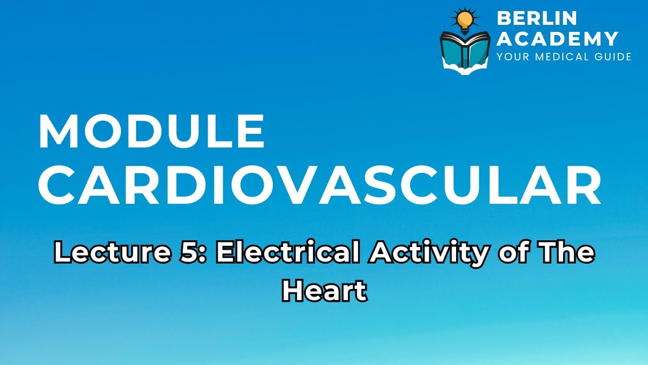 CVS Physiology: Electrical Activity of Cardiac Muscle - YouTube