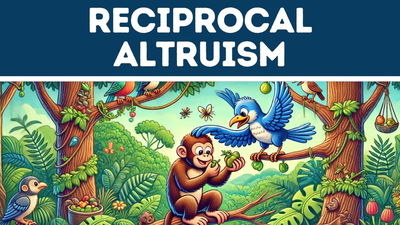 Reciprocal Altruism (Explained in 3 Minutes) - YouTube
