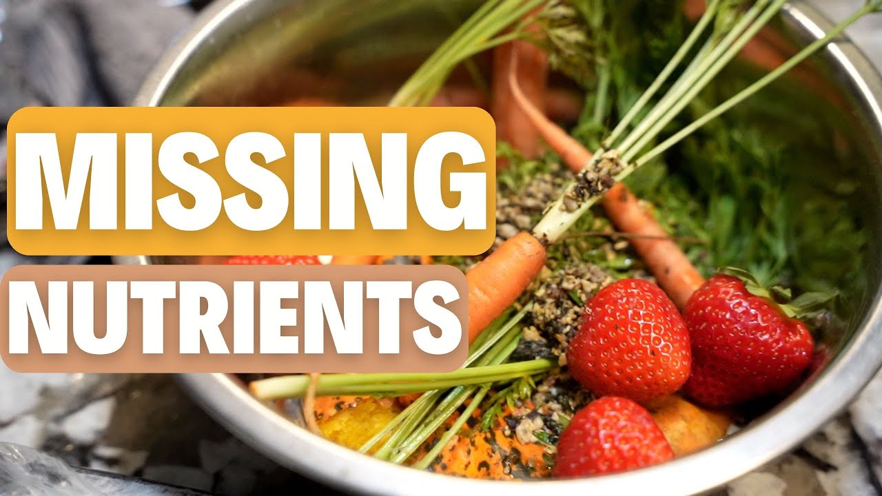The Missing Nutrients (Dog Allergies) - YouTube