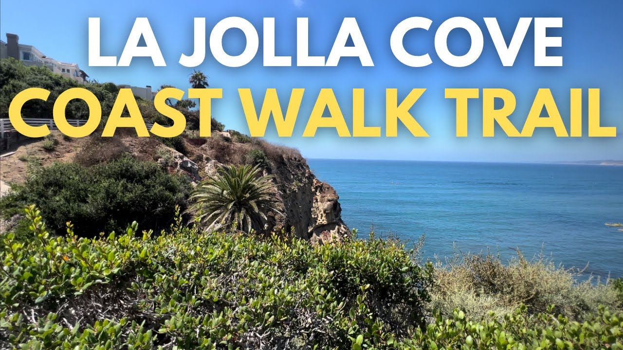 La Jolla Cove Coast Walk Trail Walking Tour San Diego California 4K ...