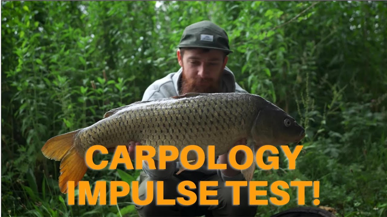 Carpology Impulse Test! - YouTube