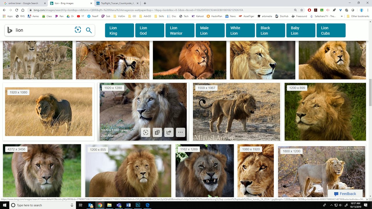 Dual Animal 03 - YouTube