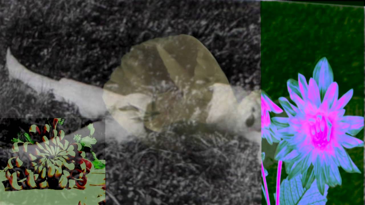 Aesthesia Balderdash by Kim Vodicka - YouTube