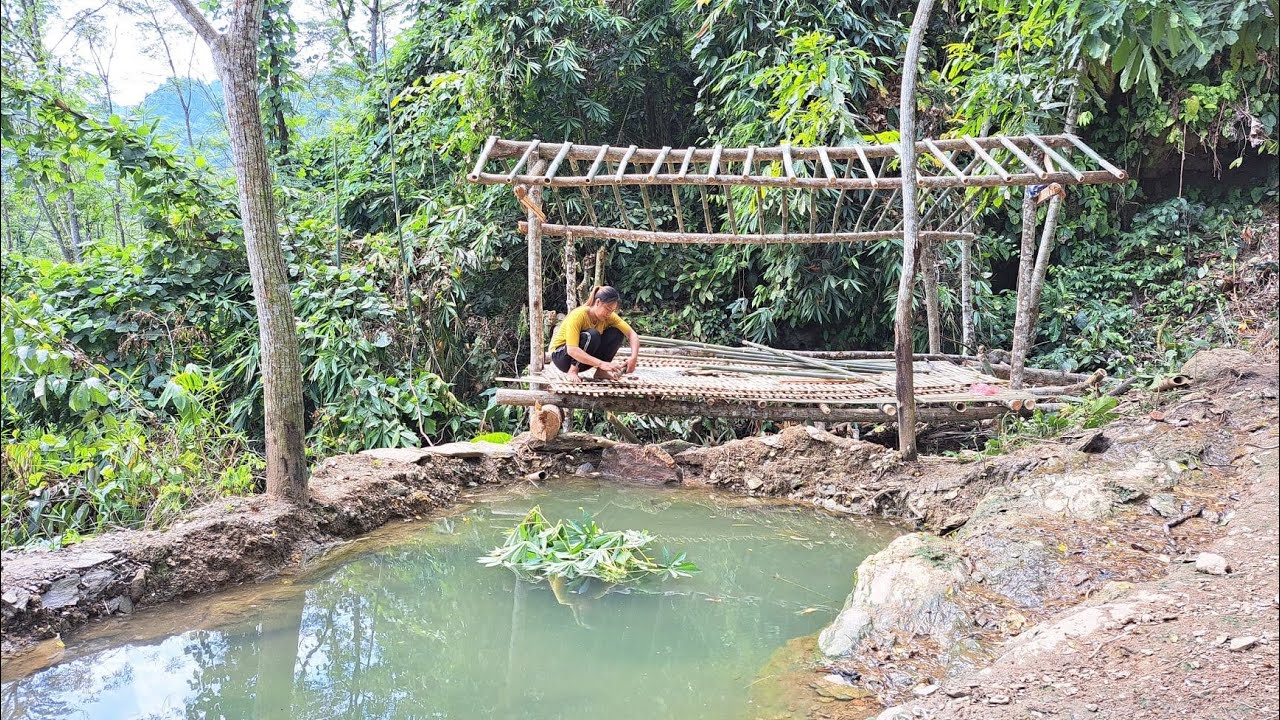 Building a Forest House For Duck and Chicken, Daily Life in The Country ...