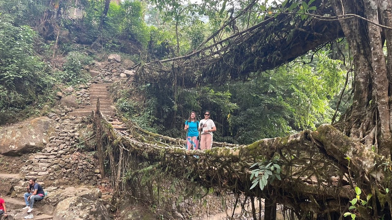 Double Root Bridge II Meghalaya - YouTube