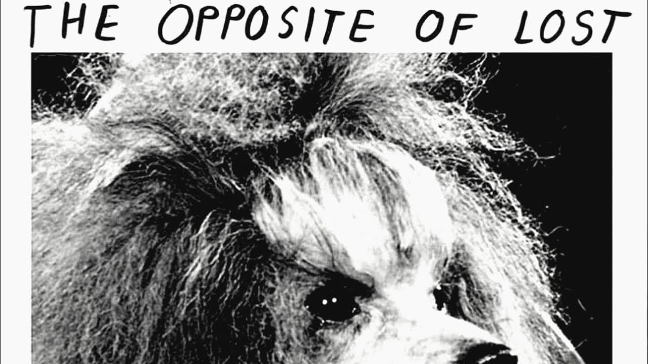 Opposite Of Lost - YouTube