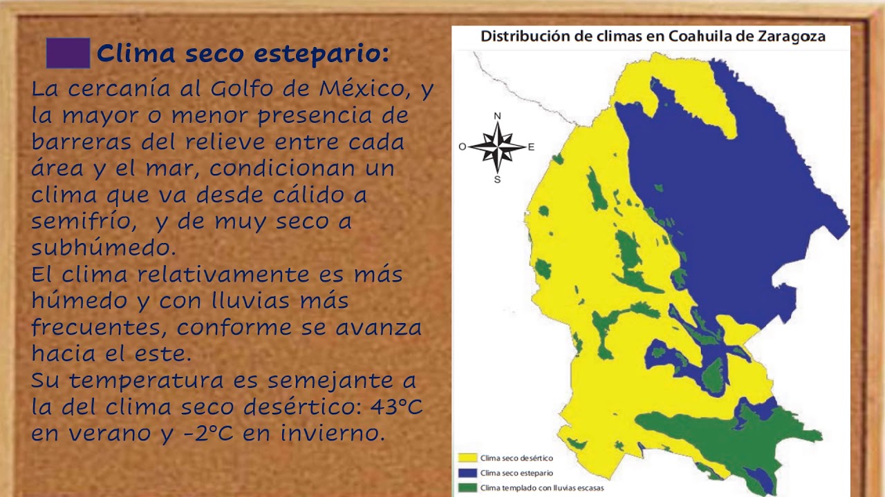 Clima, flora y fauna de Coahuila - YouTube