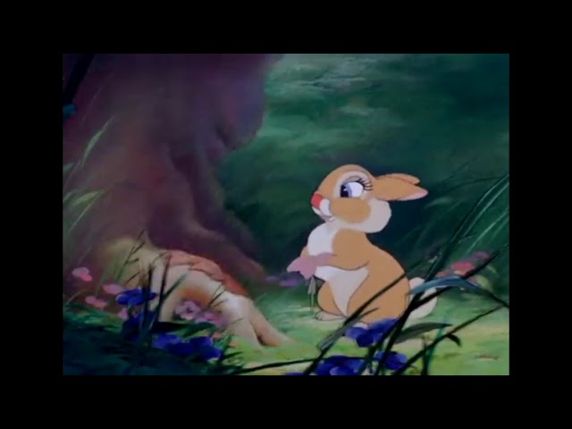 Thumper Twitterpated Quote