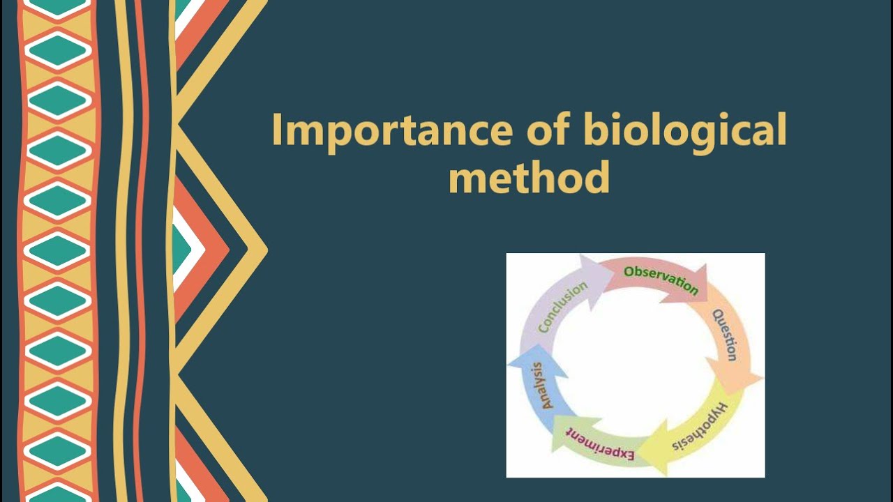WHAT IS IMPORTANCE OF BIOLOGICAL METHOD. BIOLOGY CH#2 - YouTube