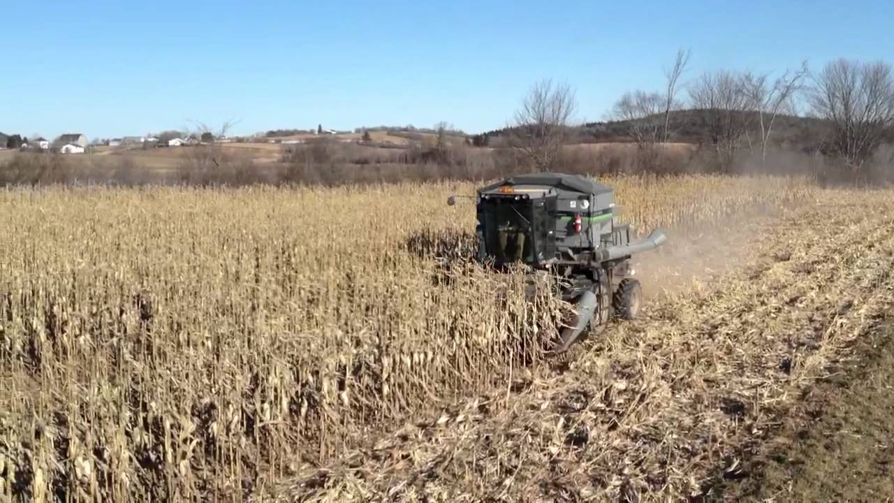 Gleaner L3 harvesting corn high res. - YouTube