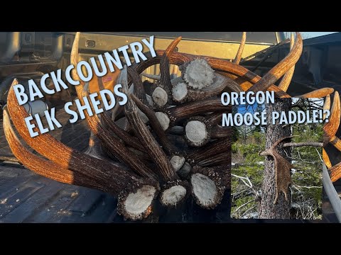 2025 OREGON SHED HUNTING part. 5 BACKCOUNTRY ELK SHEDS! - YouTube