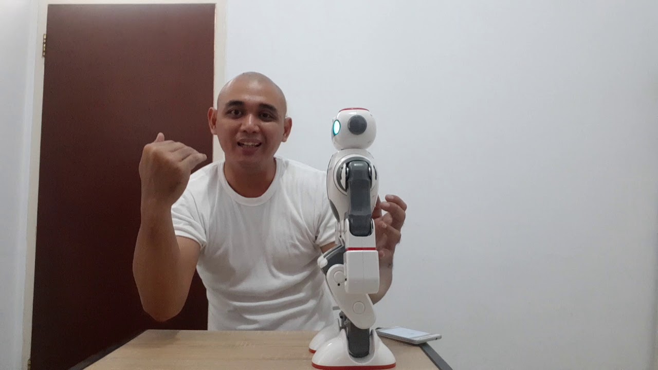 REVIEW BALANCE MODE ROBOT HUMANOID DOBI - YouTube