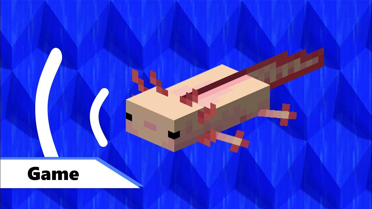 Axolotl Sound like - YouTube