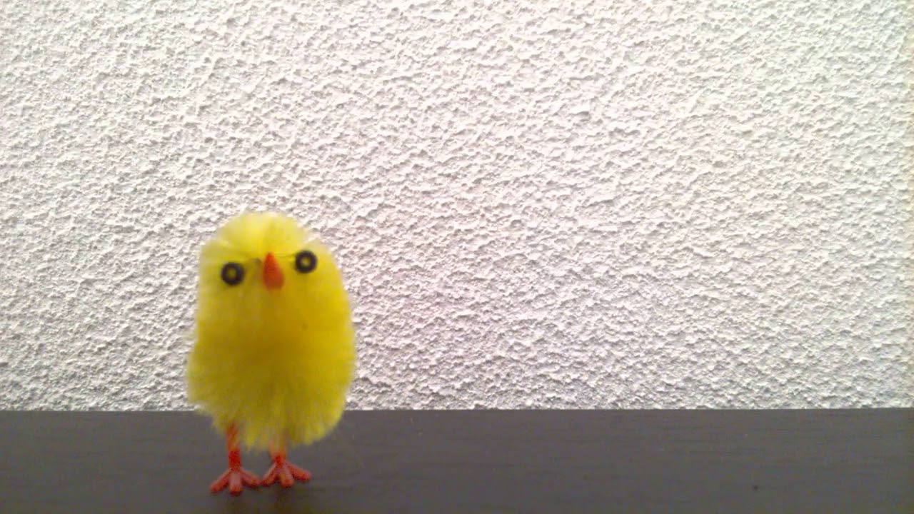 Parodie. Humour noir. Pauvre petit poussin (chanson courte pour les ...