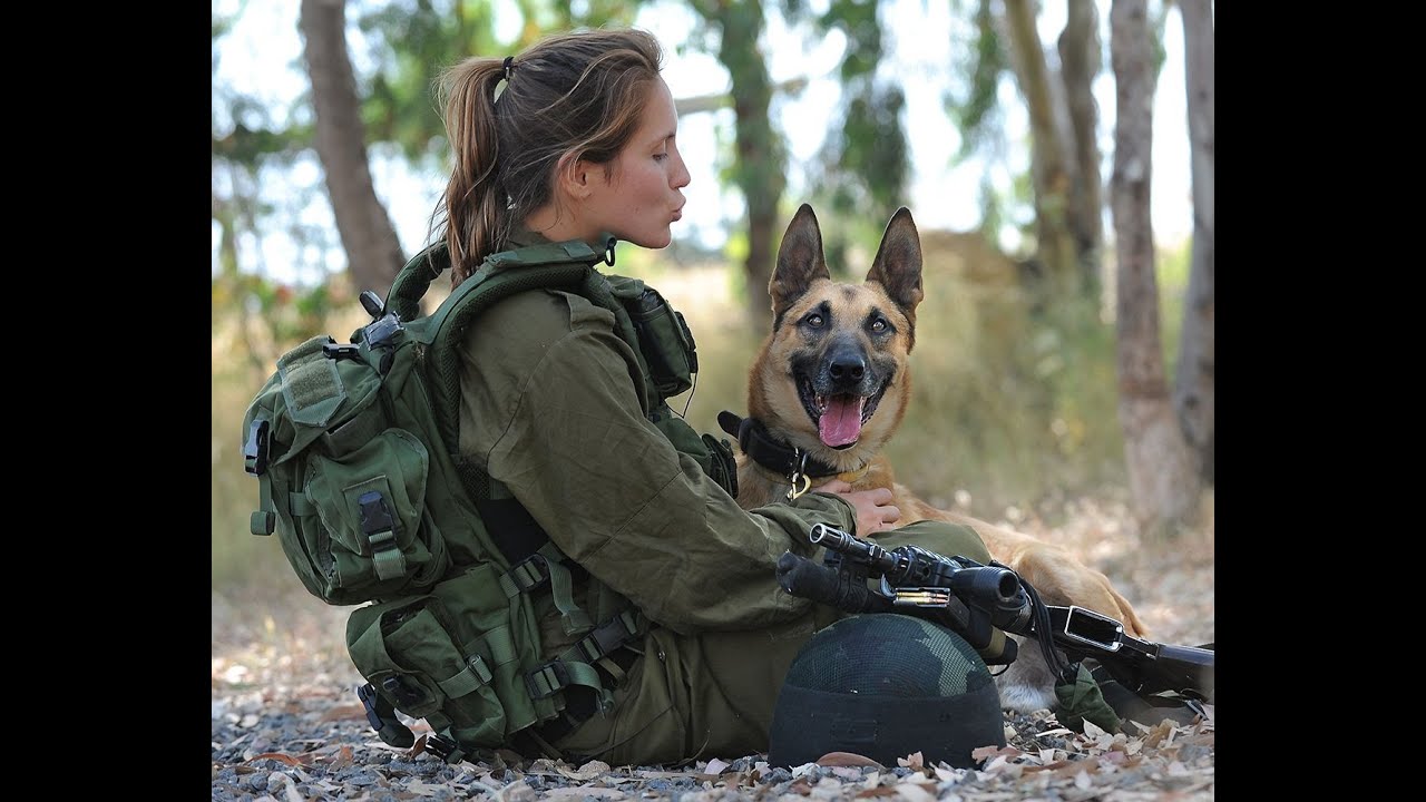 Dogs with jobs. IDF Oketz canine unit's work in Gaza footage - YouTube