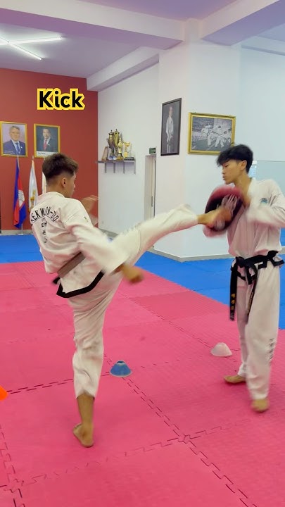 Training Kicks / TAEKWON-DO ITF #taekwondo #training #shorts #kick - YouTube
