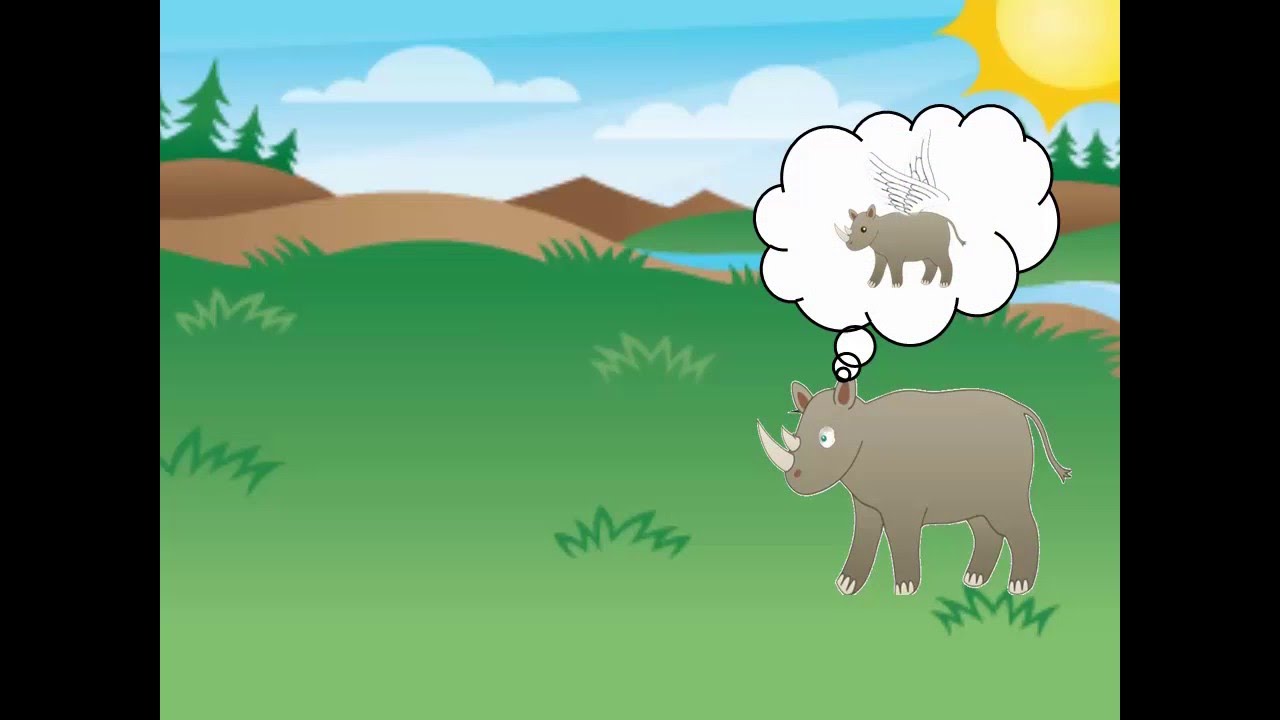 rhino training fly-rhino fly - YouTube