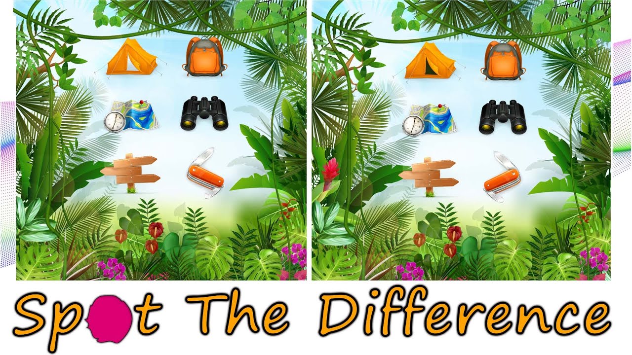Spot The Differences Game - V-223 - Spot 3 differences between two ...