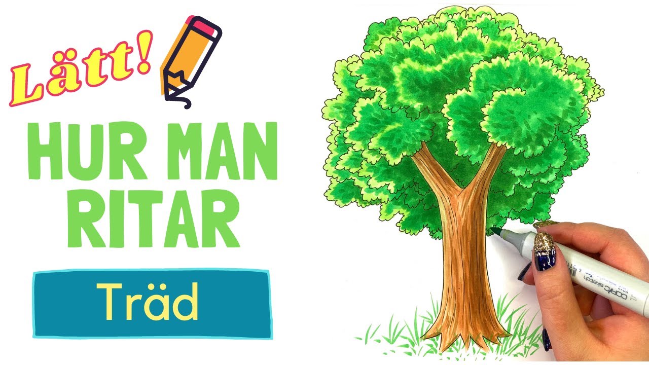 Hur man ritar träd – Lätt lär dig teckna video, på svenska! - YouTube
