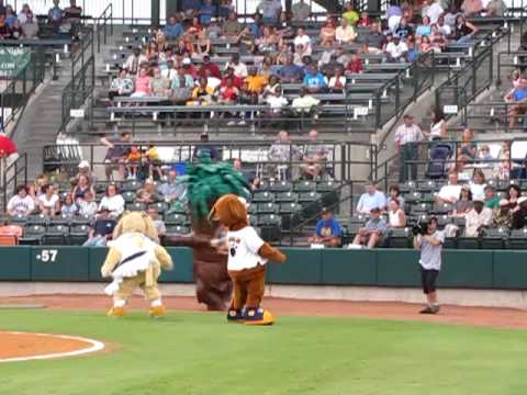 RiverDogs Mascot Mortal Kombat Freakout - YouTube