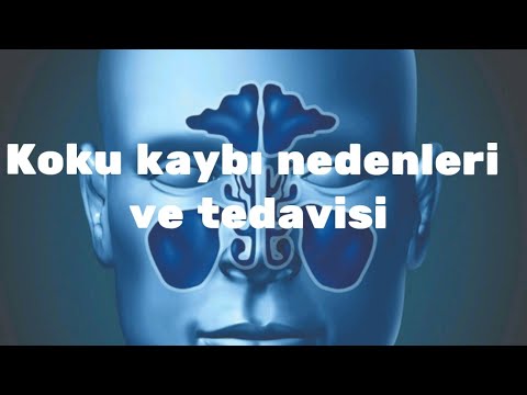 Koku kaybı nedenleri ve tedavisi