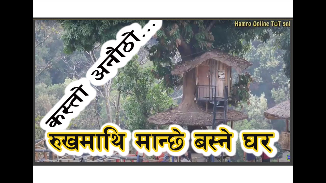 tree house in dharan II Visit Dharan II hamro online tube - YouTube