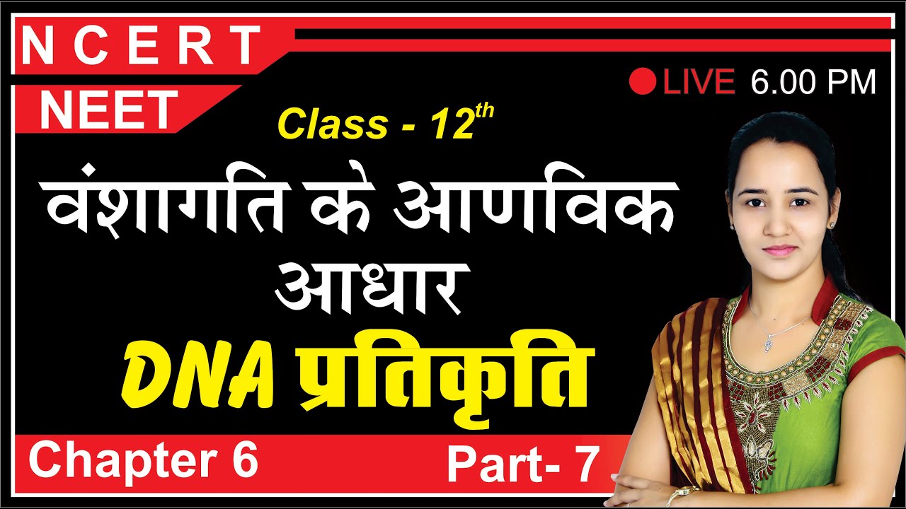 molecular basis Inheritance class 12/dna replication/dna replication ...