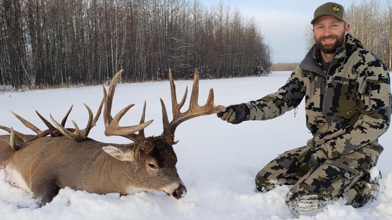 185" Alberta Whitetail Hunt - YouTube