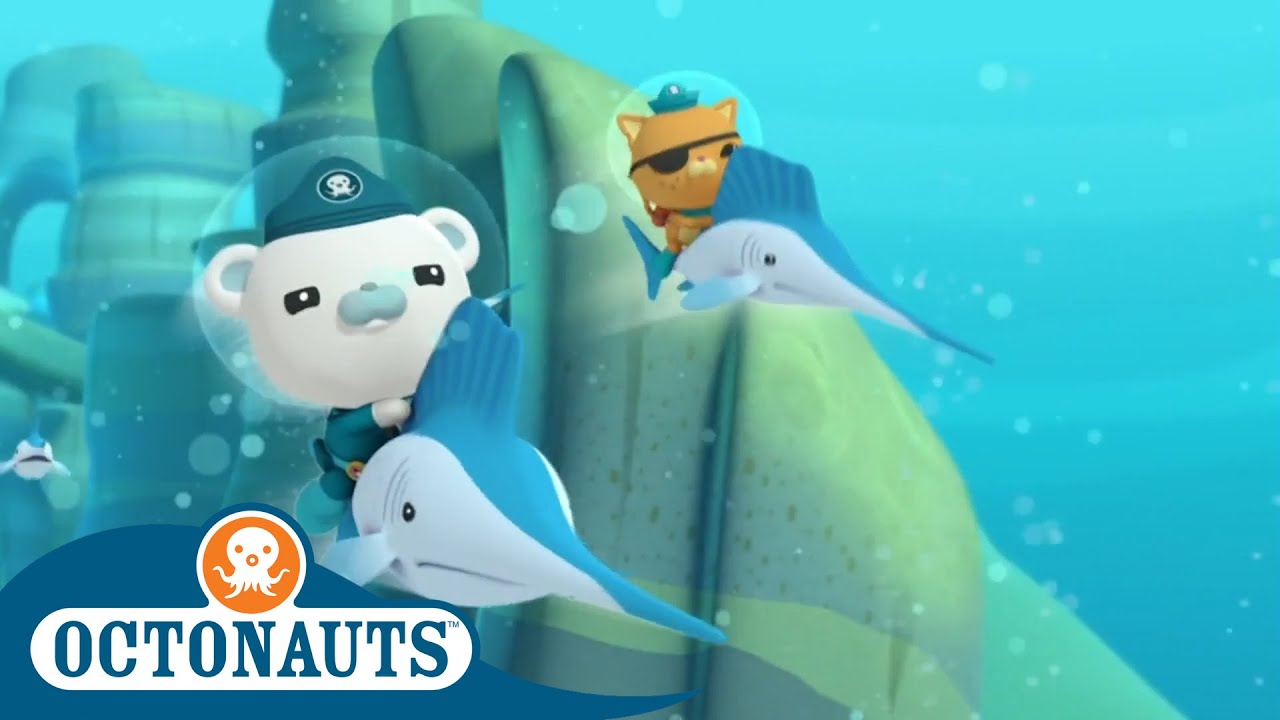 Octonauts - Swordfish Racing | Cartoons for Kids - YouTube